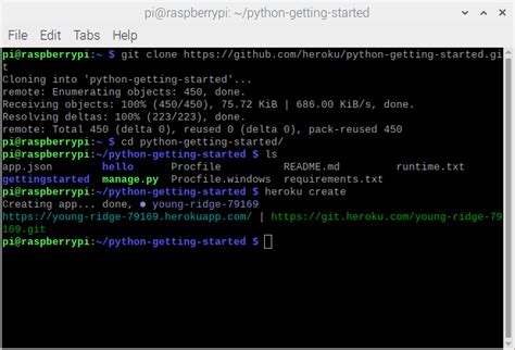how to deploy your app to heroku from raspberry pi dev community
