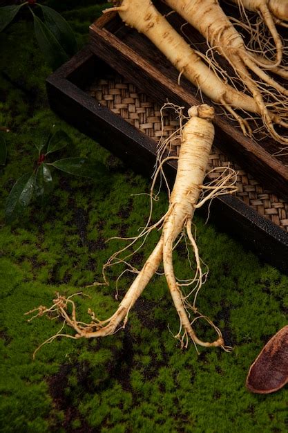 Premium Photo Fresh Ginseng Root The Amazing Health Benefits Of