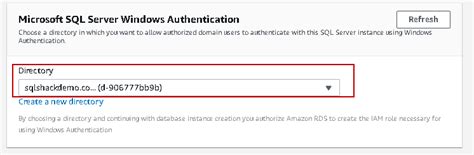 article using windows authentication with a ms sql server database images