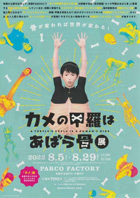 【8月5日～8月29日】カメの甲羅はあばら骨展 ケルトの笛ブログ