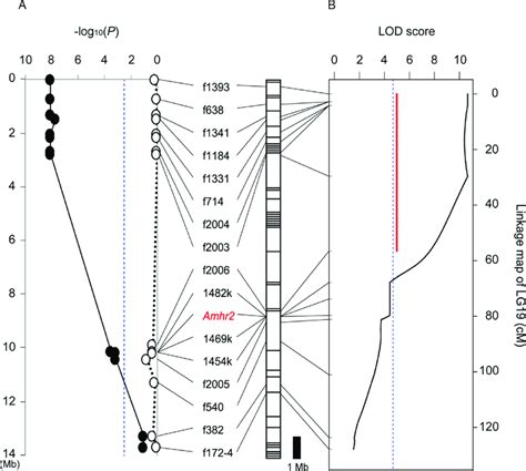 association test for phenotypic sex and marker genotypes
