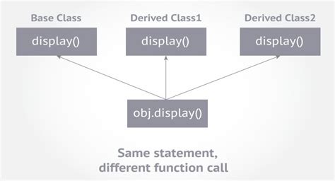 c virtual function and pure virtual function with examples