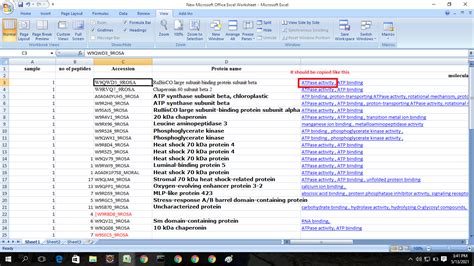 how to copy an anchor tag along with its hyperlink into excel using