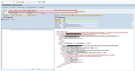 display messages in odata header response while success and update and