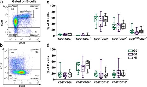 Frequency Of B Cell Subsets Based On Cd24 And Cd27 Or Cd27 And Cd38