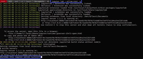 y does not confirm exit prompt · issue 9585 · jupyterlab jupyterlab