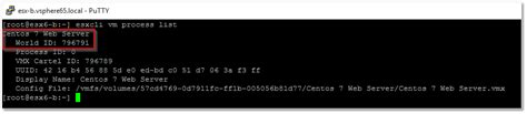 how to terminate unresponsive virtual machines in vsphere