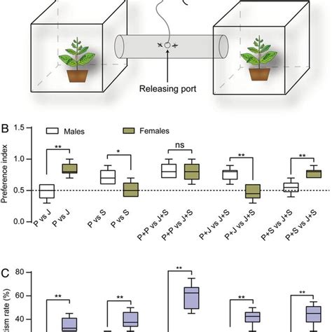Sex Pheromone Of C Chlorideae Works With Z Jasmone To Increase The