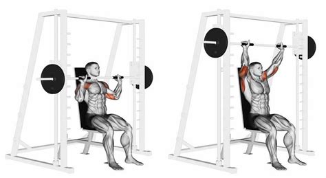 Smith Machine Shoulder Press • Bodybuilding Wizard