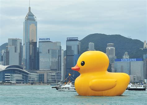 Hong Kongs Iconic Giant Rubber Duck Back This Summer