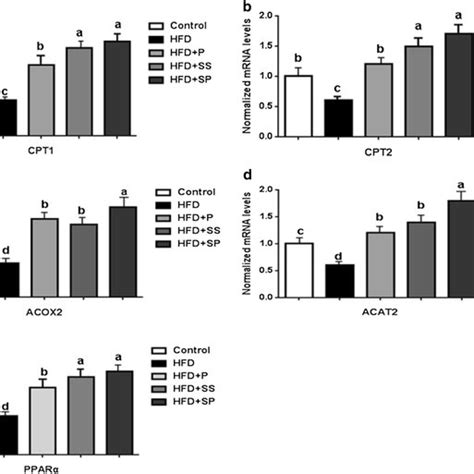 Genes Involved In Fatty Acid Oxidation Sp Increase In Gene Expression