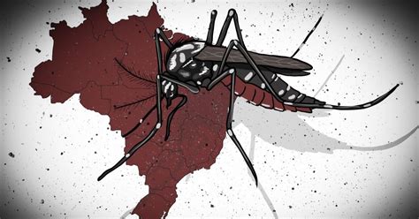 Brasil Ultrapassa 5 Milhões De Casos Prováveis De Dengue José Linhares Jr