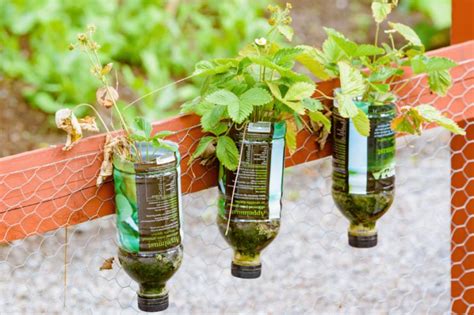 5 Ideas De Reciclaje Creativo Ingredientes Que Suman
