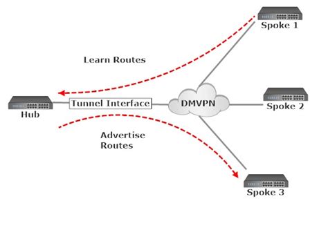 dynamic multipoint virtual private network thinkpalm