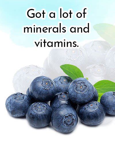 Sources Of Antioxidants You Need To Include In Your Diet