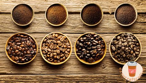 ความแตกต่างของระดับการคั่วกาแฟ Easycraftcoffee
