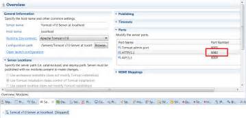 jsp the server cannot started because one or more of the ports are