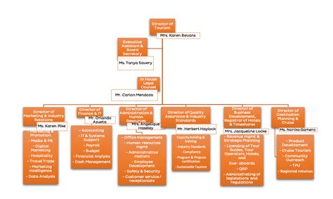 organizational structure btb