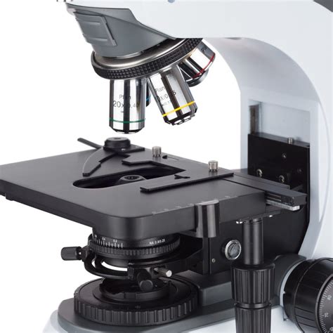 Fluorescence Microscopy