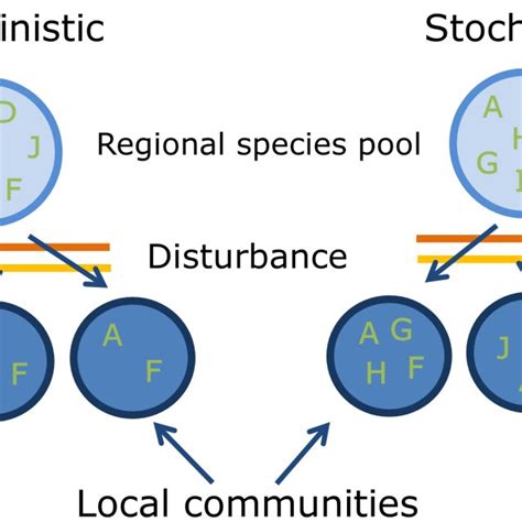 2 Dual Perspectives Deterministic Or Stochastic Regarding The Effects