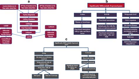 workflow of rna seq data analysis identification of the significantly