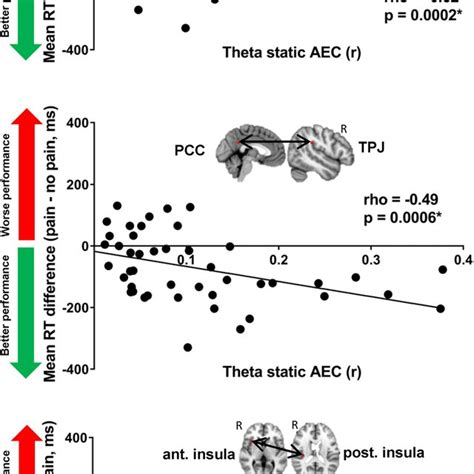 Examples Of Sex Differences In Static And Dynamic Amplitude Coupling