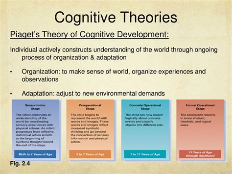 ppt adolescent psychology powerpoint presentation free download id