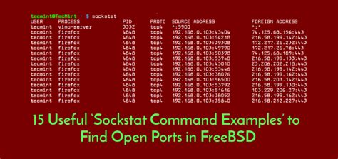 how to install apache mariadb and php famp stack on freebsd