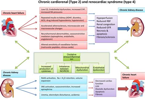 Cardiorenal Syndrome Cardiology Clinics