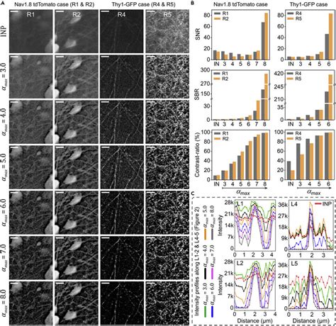 Demonstration Of Single Parametric Control Effect Of αmax Over Snr