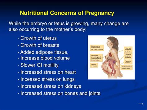 Ppt Maternal And Infant Nutrition Powerpoint Presentation Free