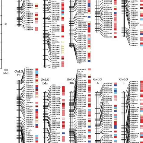 Summary Of The Genetic Linkage Map And The Mapped Markers Download Table