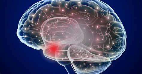 Transsphenoidal Surgery For Pituitary Tumors Alabama Nasal And Sinus