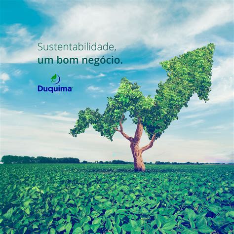 Sustentabilidade No Campo Um Bom Negócio Duquima Agronegócios