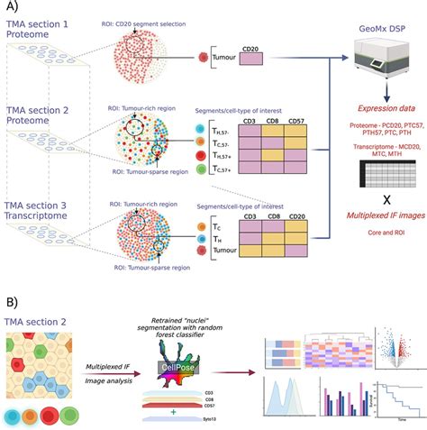 1480 Spatially Resolved T Cell Microenvironment In Mantle Cell Lymphoma
