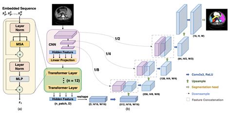 github awsaf49 transunet tf tensorflow implementation of transunet