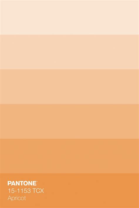 An Orange And Pink Wall With The Words Pantone In White Lettering On It