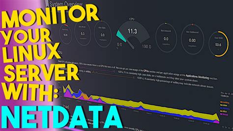 monitor your linux server like a pro with netdata