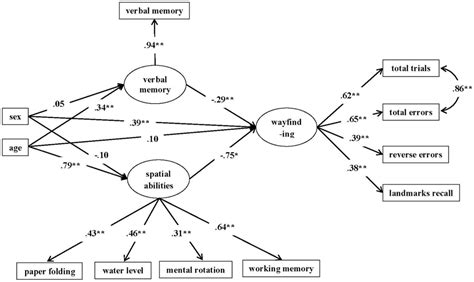 Frontiers Sex Differences In Using Spatial And Verbal Abilities