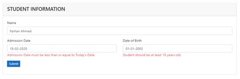 custom model validation in asp core 3 1