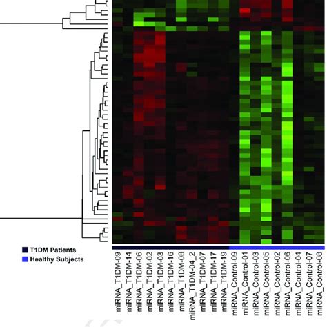 Distinct Mirna Expression Pattern In T1dm Patients Heatmap Of The 57