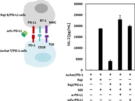 Oncotarget Pd L1 Checkpoint Blockade Delivered By Retroviral