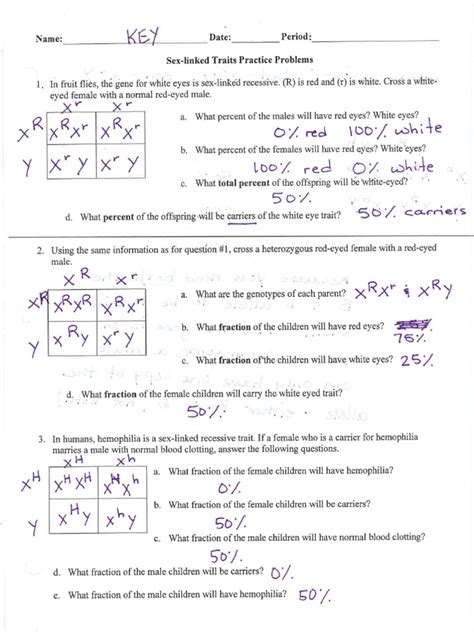 34 sex linked traits worksheet answer key support worksheet
