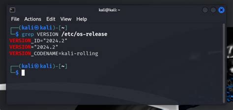 Kali Linux 2024 2リリース、18の新ツールとy2038の変更点 Prsol Cc