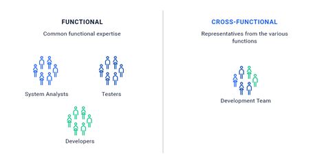 understanding the data scientist s role in cross functional teams