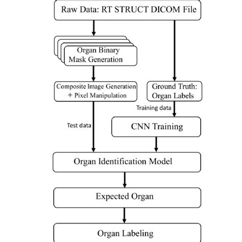 An Overview Of The Different Steps Involved In Identifying And Labeling