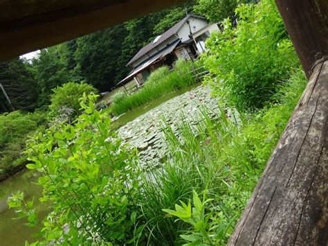吹上しょうぶ公園 東京都青梅市 にしたまねっと