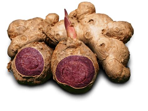 black ginger extract 5 7 dimethoxyflavone kaempferia