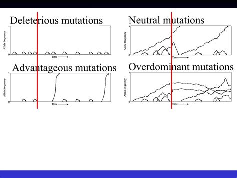Ppt Mutationism Neutralism Selectionism Powerpoint Presentation