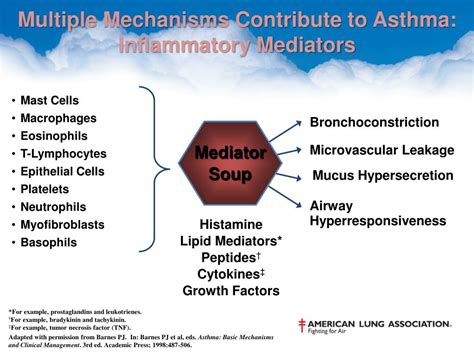 Ppt Asthma Pathophysiology Asthma Overview Powerpoint Presentation